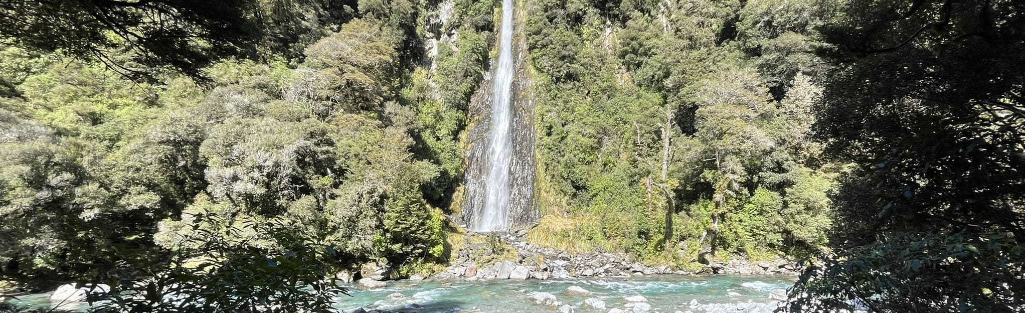 Thunder Creek Falls Walk: 45 Reviews, Map - West Coast, New Zealand ...