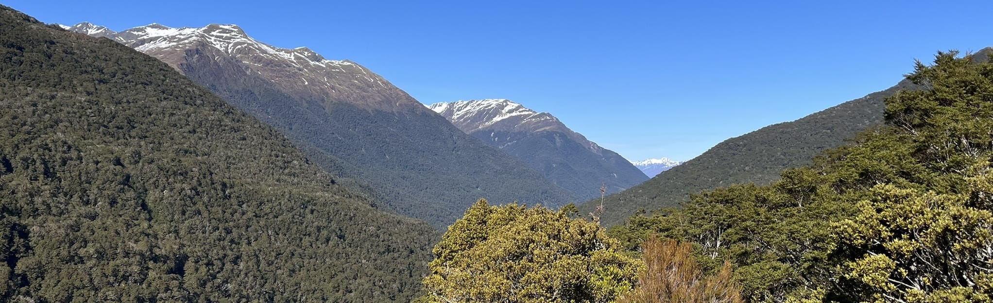 Haast Pass Lookout Track, West Coast, New Zealand - 42 Reviews, Map ...