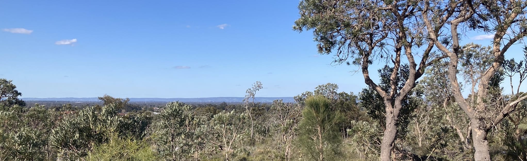 Koondoola Regional Bushland Walk, Western Australia, Australia - 45 ...