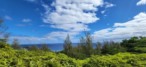 10 Best Trails and Hikes in Rarotonga | AllTrails