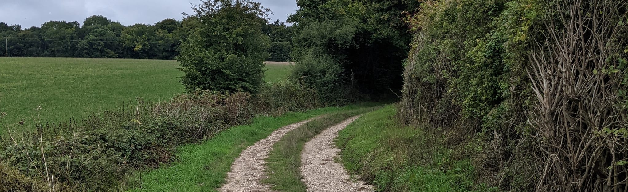 Ashampstead Circular: 11 Reviews, Map - Berkshire, England | AllTrails