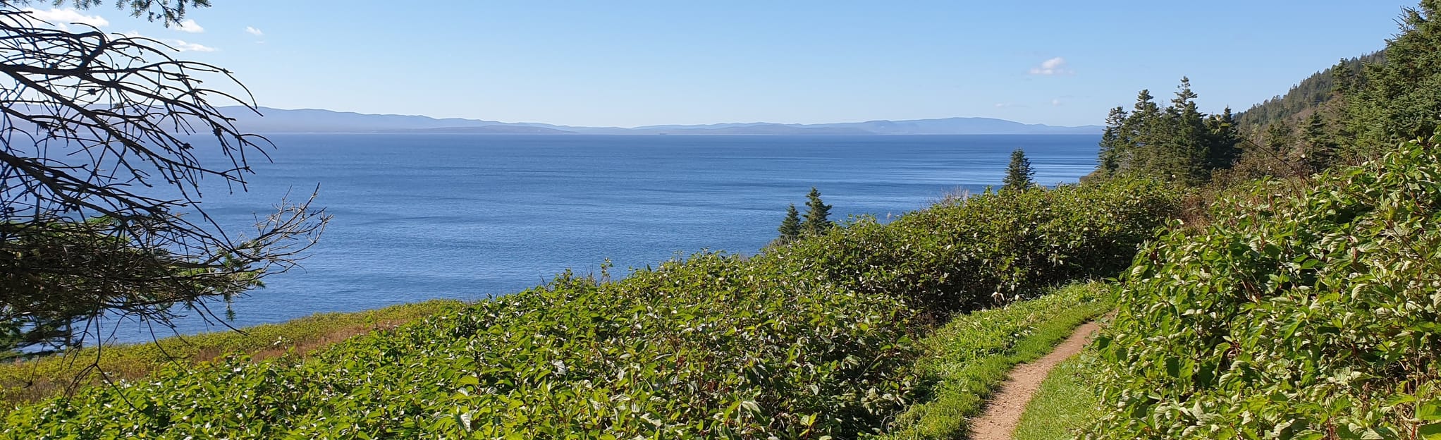 Cap Gaspé Loop, Quebec, Canada - 557 Reviews, Map | AllTrails
