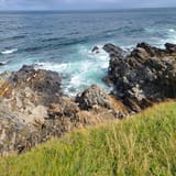 Money Point Trail, Nova Scotia, Canada - 141 Reviews, Map | AllTrails