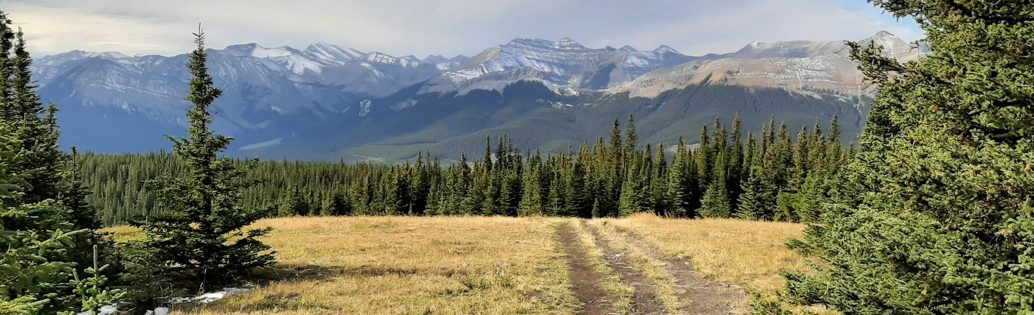 Jumpingpound Summit Trail: 1396 Reviews, Map - Alberta, Canada | AllTrails