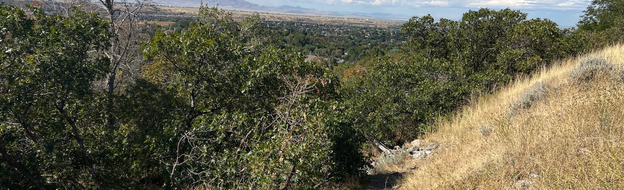 Burch Creek Trail, Utah - 651 Reviews, Map | AllTrails