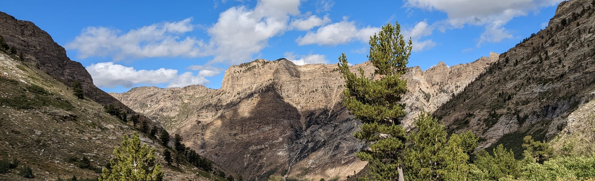 Thomas Creek Trail, Nevada - 212 Reviews, Map | AllTrails