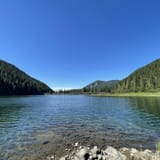Linton Lake Trail, Oregon - 224 Reviews, Map | AllTrails