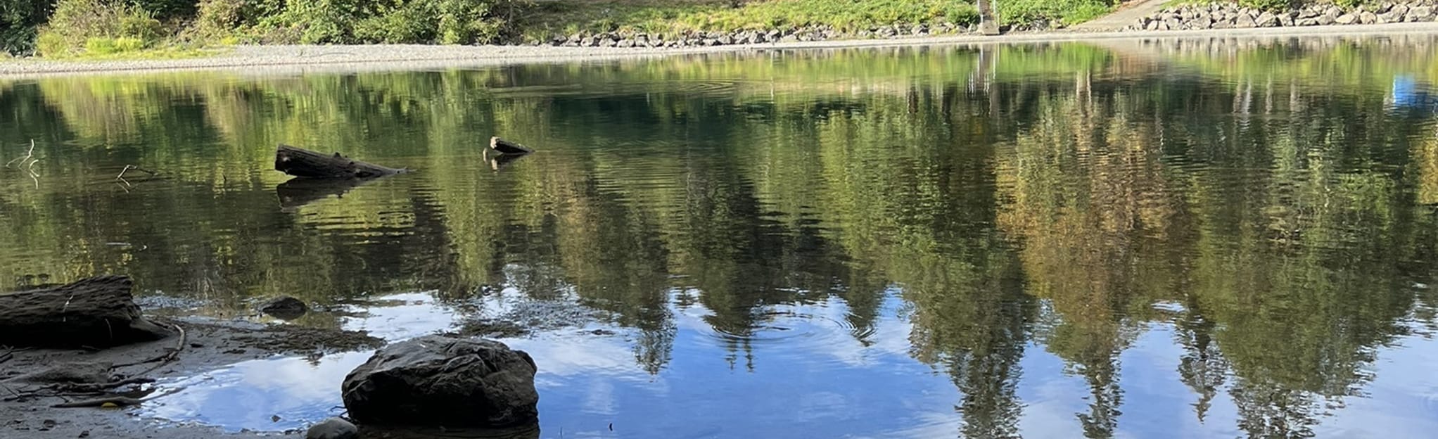 Paper Mill Dam Trail, British Columbia, Canada - 9 Reviews, Map | AllTrails