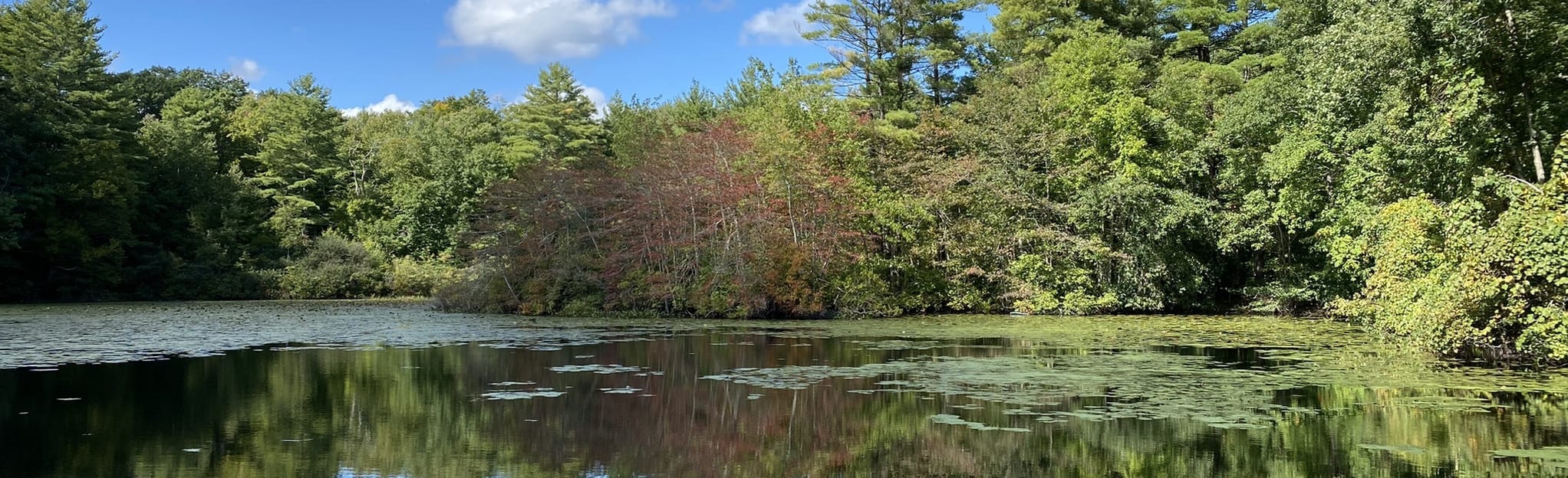 Picker Field and Flyaway Pond Trail, Massachusetts - 159 Reviews, Map ...