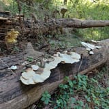 Windolph Landing Preserve Trail, Pennsylvania - 95 Reviews, Map | AllTrails