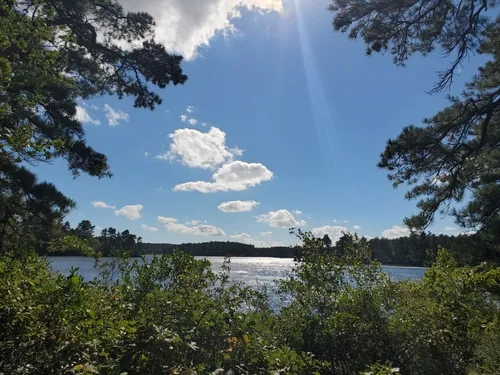 Best Hikes and Trails in Myles Standish State Forest | AllTrails
