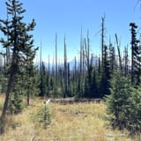 Three Fingered Jack via Pacific Crest Trail, Oregon - 359 Reviews, Map ...