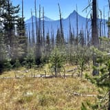 Three Fingered Jack via Pacific Crest Trail, Oregon - 359 Reviews, Map ...