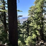 Three Fingered Jack via Pacific Crest Trail, Oregon - 359 Reviews, Map ...