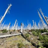 Three Fingered Jack via Pacific Crest Trail, Oregon - 391 Reviews, Map ...
