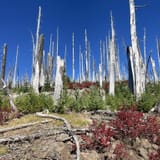 Three Fingered Jack via Pacific Crest Trail, Oregon - 372 Reviews, Map ...