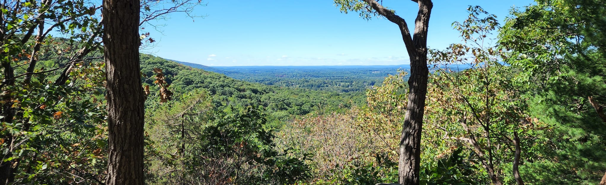 AllTrails | Mount Misery Loop, Upper Reservoir, and Aleck Meadow ...