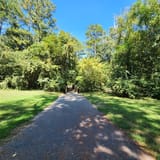 Wellston Trail, Georgia - 177 Reviews, Map | AllTrails