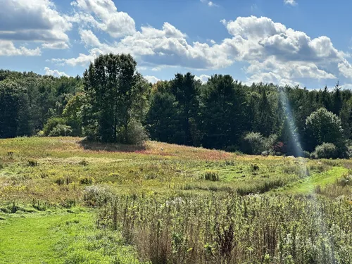 10 Best Trails and Hikes in Durham | AllTrails