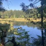 Yellow Point Bog Ecological Reserve and Yellow Point Park Loop, British ...