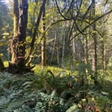 Yellow Point Bog Ecological Reserve and Yellow Point Park Loop, British ...