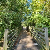 Wellston Trail, Georgia - 177 Reviews, Map | AllTrails