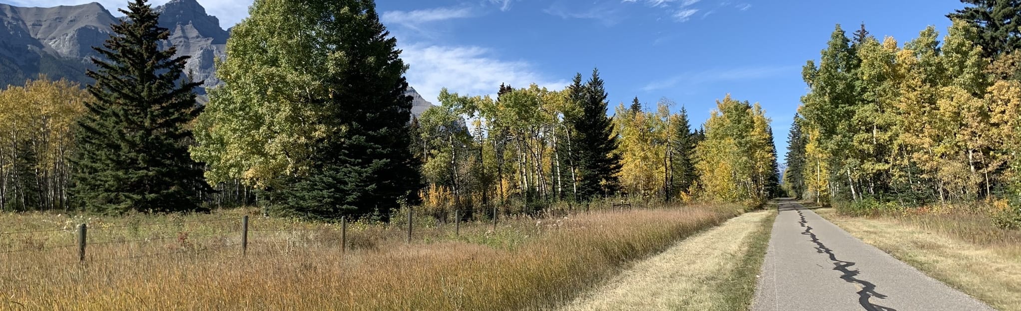Canmore to Banff MTB Loop, Alberta, Canada - 88 Reviews, Map | AllTrails