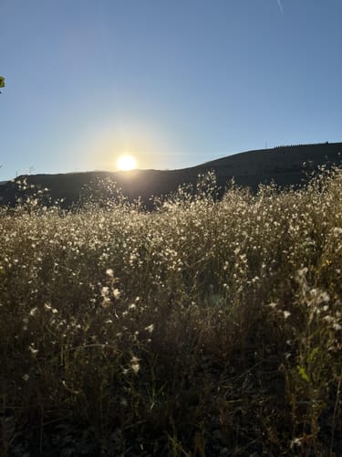 Best Hikes and Trails in Bebe Springs Wildlife Area | AllTrails