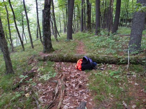 Best Hikes and Trails in Slate Valley Trails | AllTrails