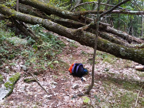 Best Hikes and Trails in Slate Valley Trails | AllTrails