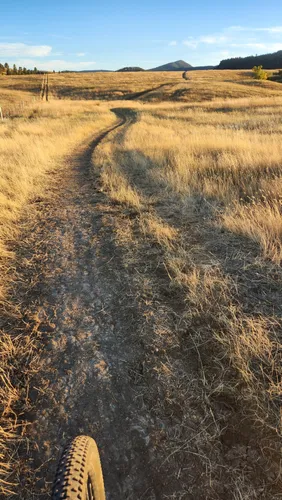 Best Hikes and Trails in Fort Meade Recreation Area | AllTrails