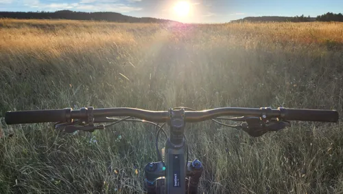 Best Hikes and Trails in Fort Meade Recreation Area | AllTrails