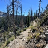 Jackson Peak Trail, Wyoming - 262 Reviews, Map | AllTrails