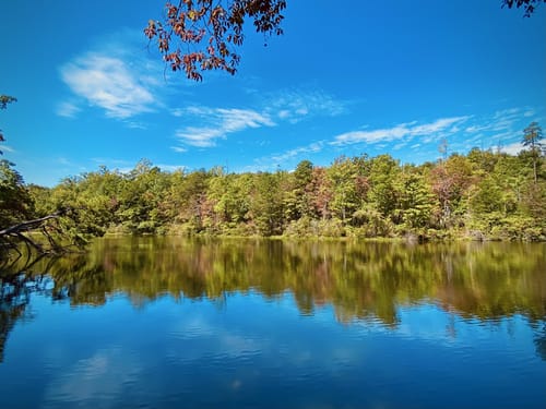 Best 10 Hikes and Trails in Hanging Rock State Park | AllTrails
