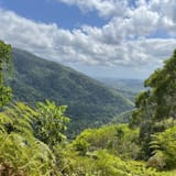Crystal Cascades to Copperlode Dam, Queensland, Australia - 205 Reviews ...