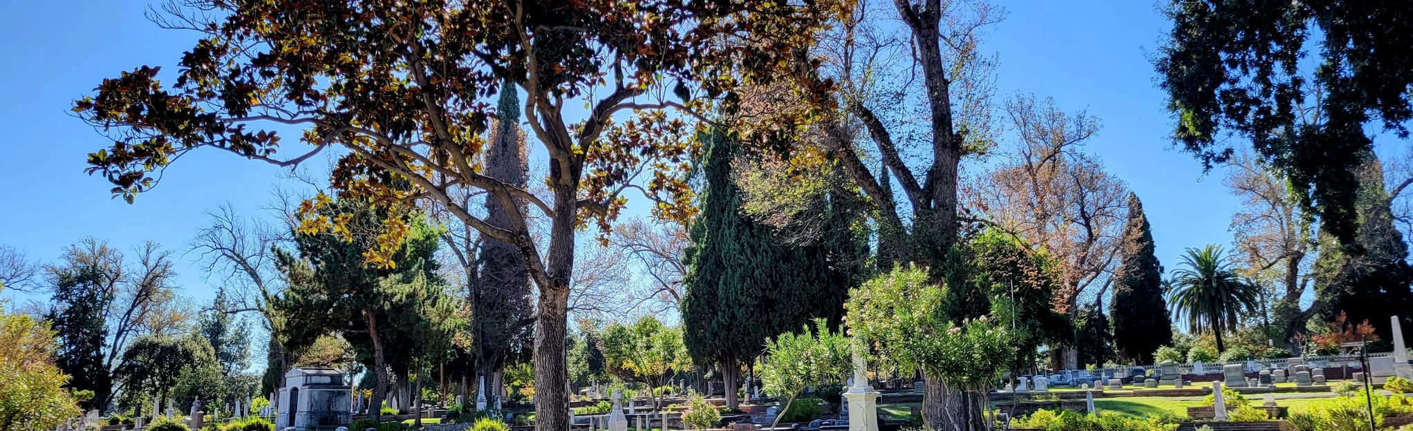 Sacramento Historic City Cemetery Loop, California - 11 Reviews, Map ...