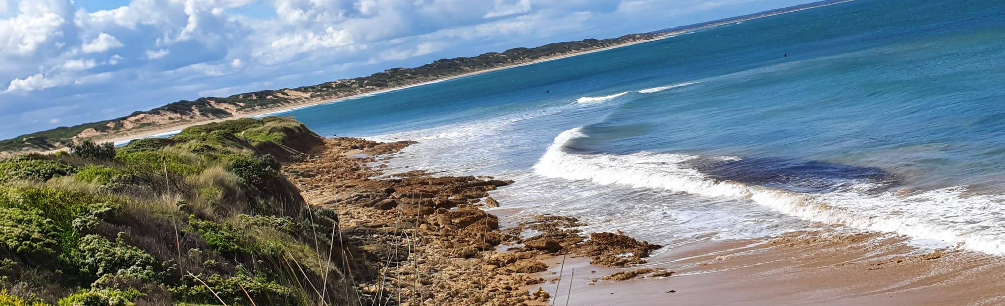 Whites Beach, Point Impossible Beach, and Buckleys Bay Loop: 10 Reviews ...