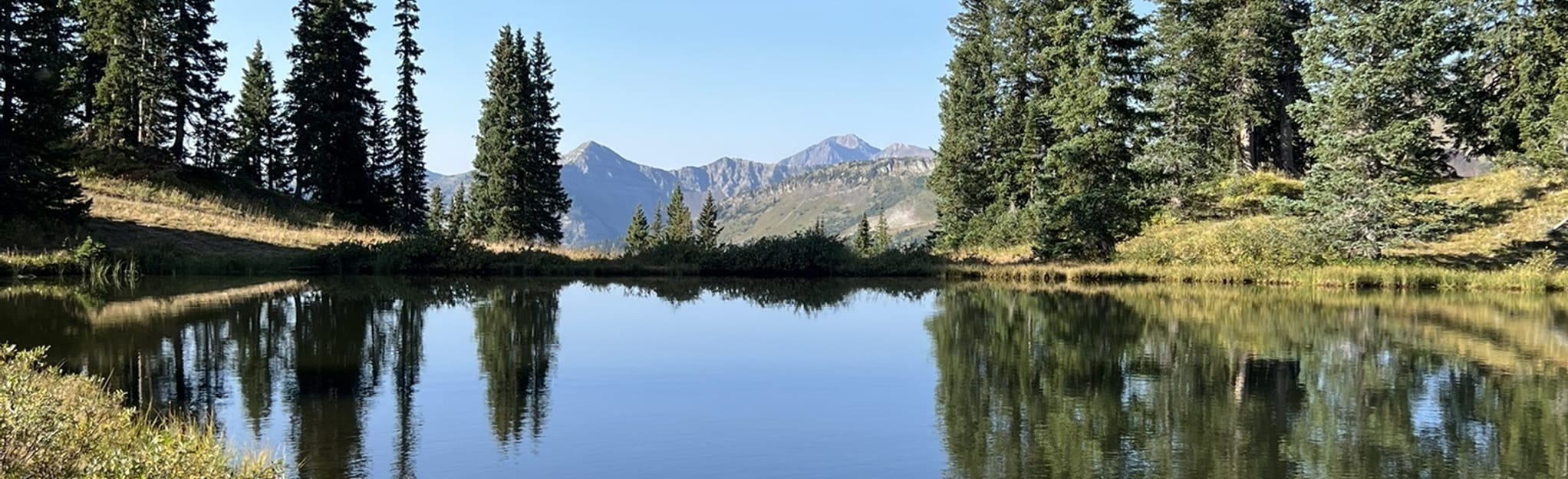 Yule Pass Trail via Paradise Divide: 29 Reviews, Map - Colorado | AllTrails