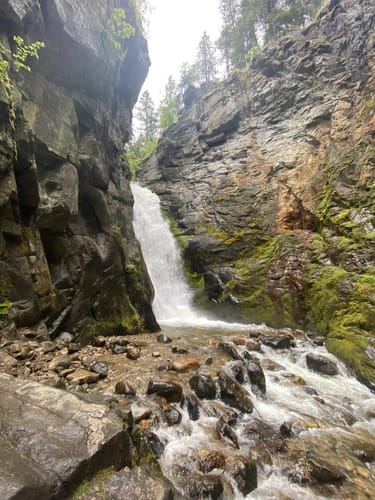 Best Hikes and Trails in Syringa Provincial Park | AllTrails