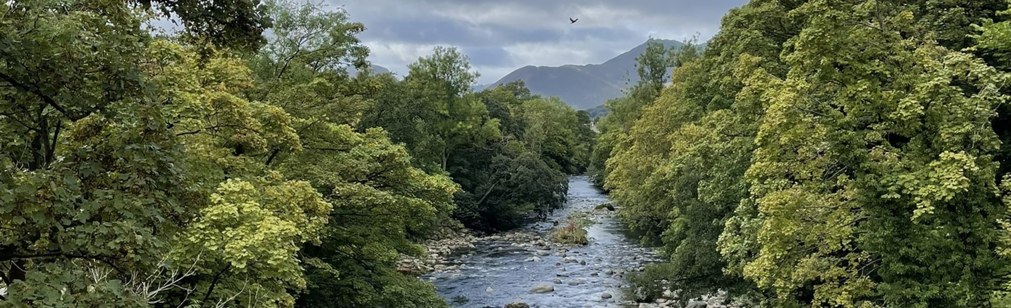 Keswick to Threlkeld Railway Trail, Cumbria, England - 257 Reviews, Map ...