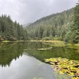 Two Lakes Trail, Alaska - 380 Reviews, Map | AllTrails