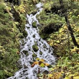 Two Lakes Trail, Alaska - 380 Reviews, Map | AllTrails