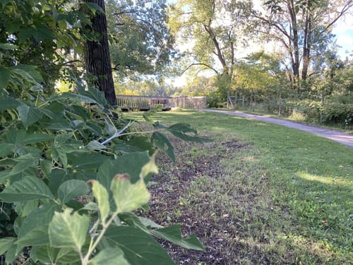 Best Hikes and Trails in Fox Brook County Park | AllTrails