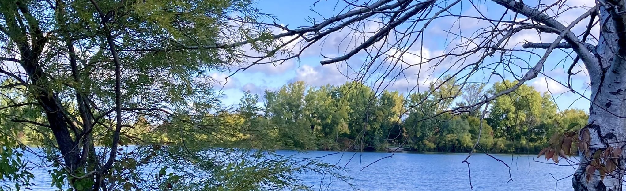 Fox Brook Lake: 190 Reviews, Map - Wisconsin | AllTrails