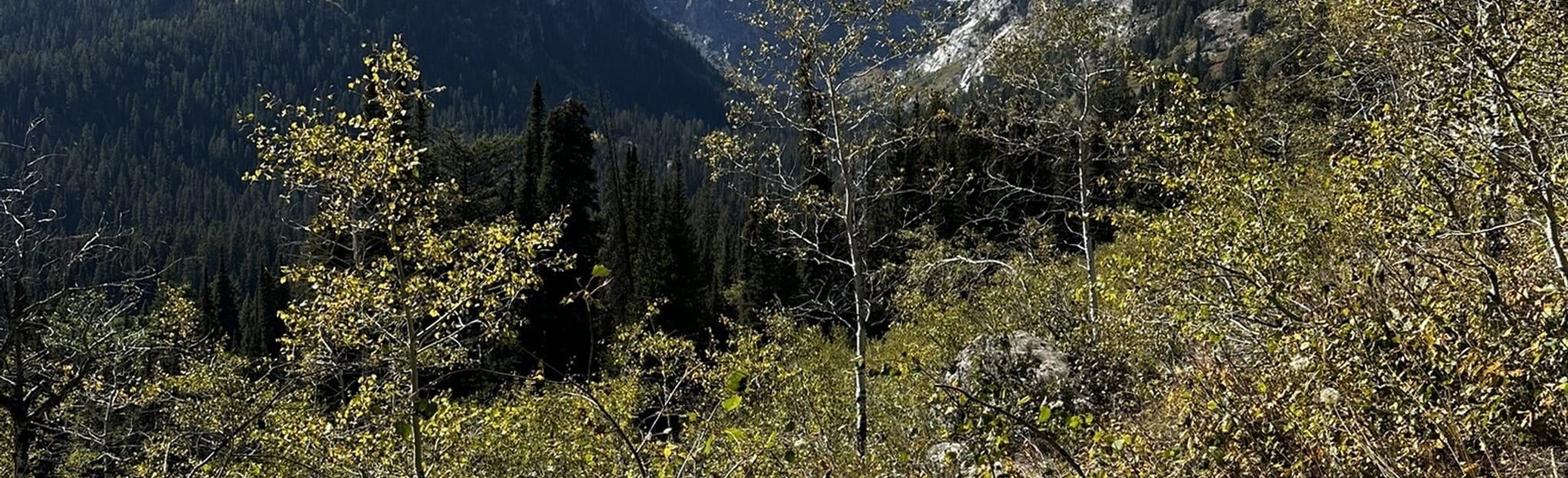 Teton Valley Trail: 32 Reviews, Map - Wyoming | AllTrails