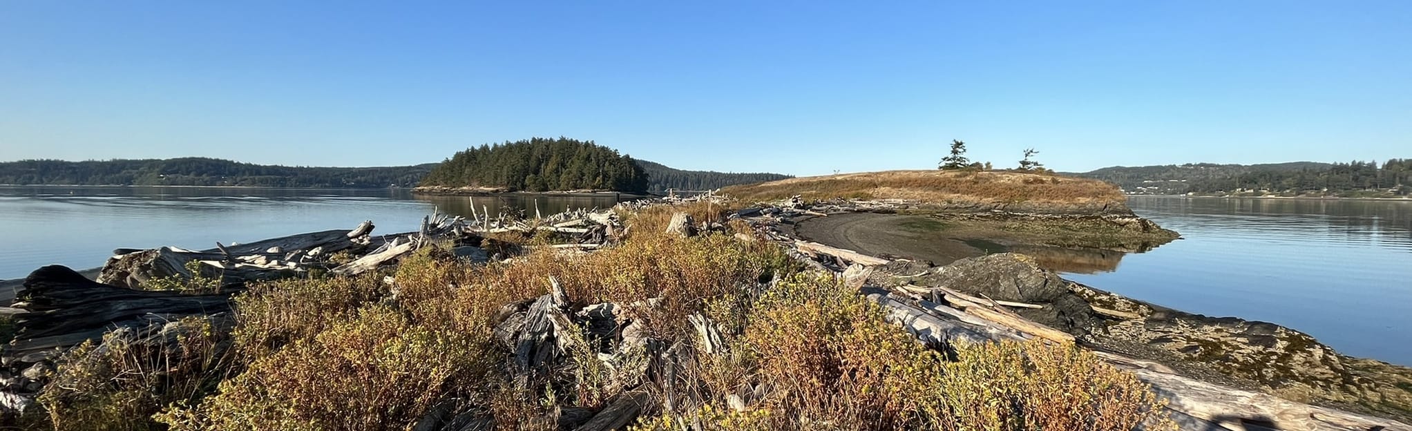 Kiket Trail, Washington - 545 Reviews, Map | AllTrails