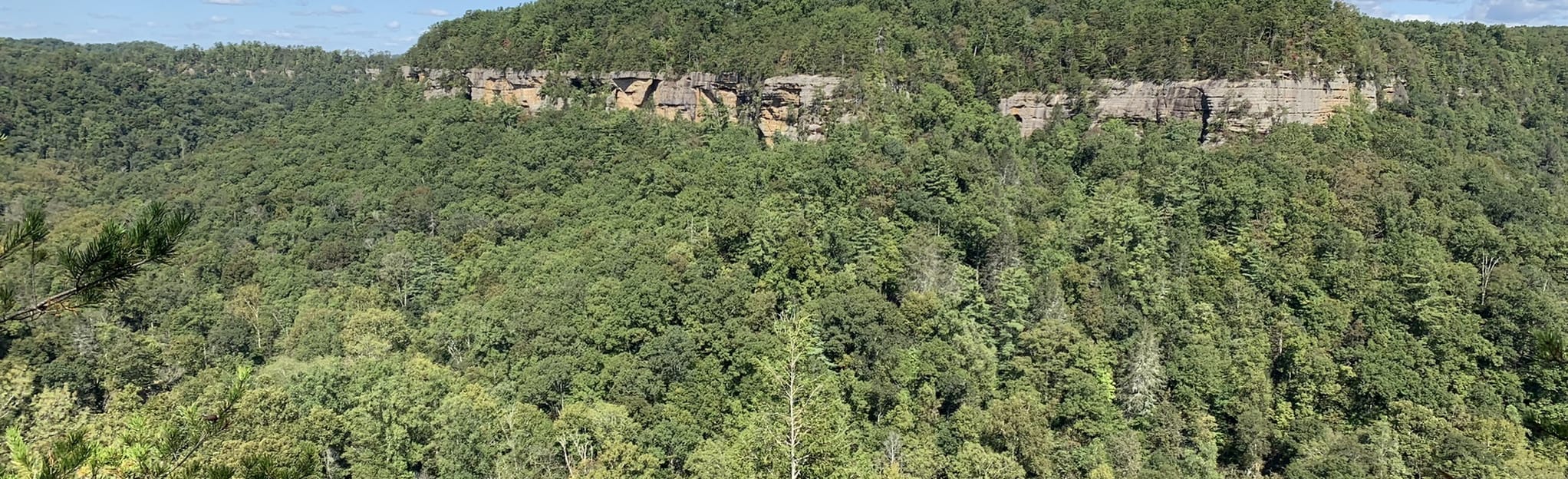 Buzzards Roost South: 114 Reviews, Map - Kentucky | AllTrails