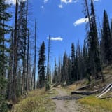 Red Lake Trail, Colorado - 169 Reviews, Map | AllTrails