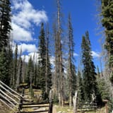 Red Lake Trail, Colorado - 169 Reviews, Map | AllTrails
