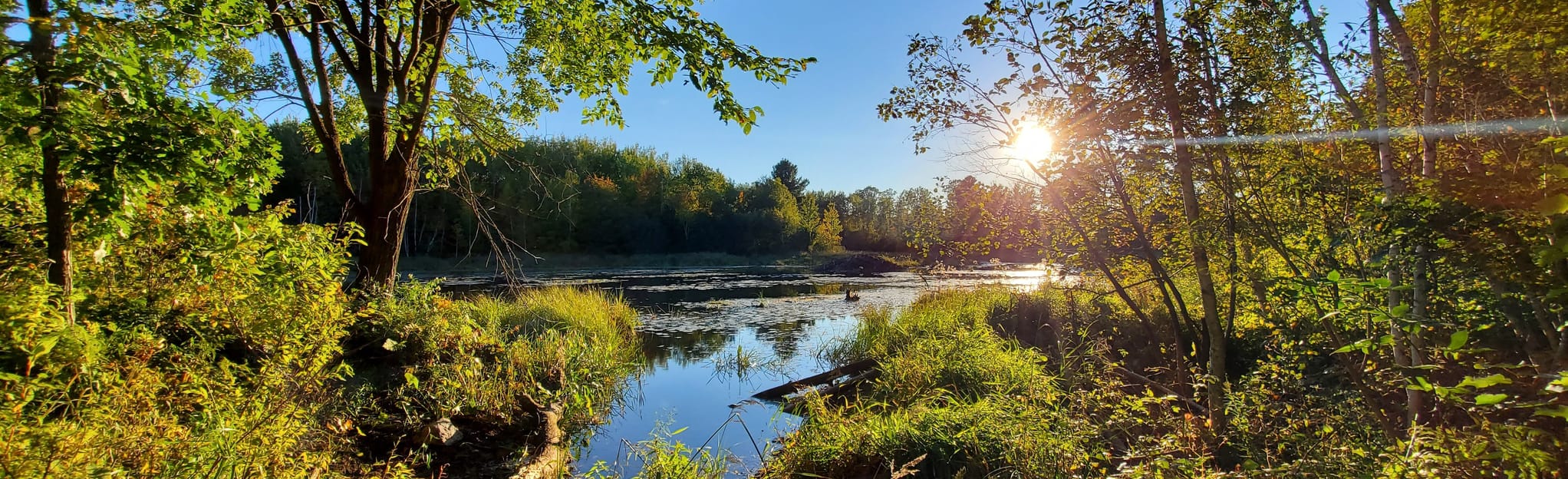 Ice Age Trail: Grassy Lake Segment: 26 Reviews, Map - Wisconsin | AllTrails